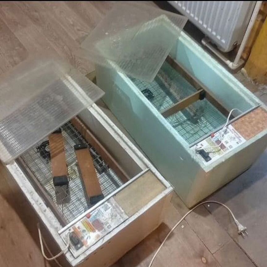 Инкубатор блиц