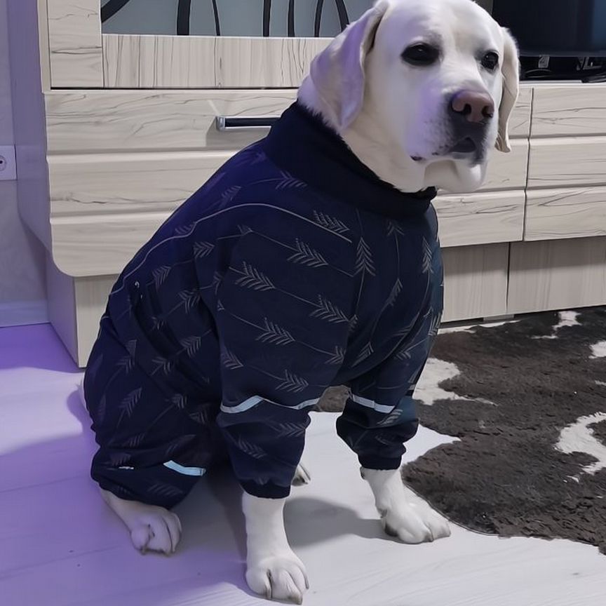 Одежда для крупных собак