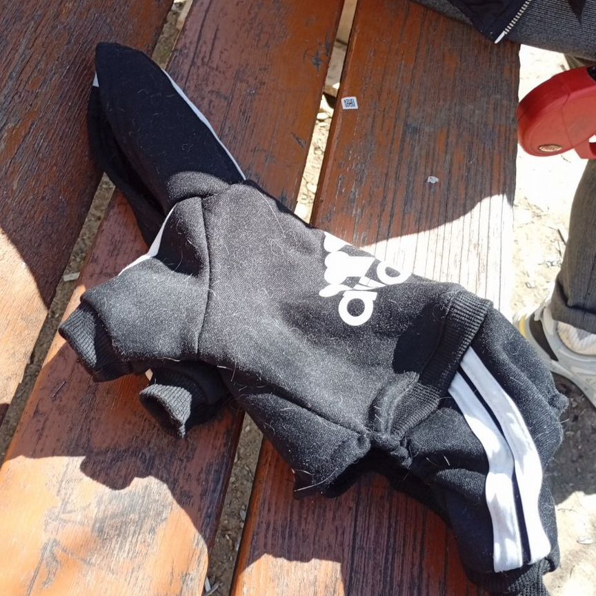 Одежда для маленьких собак