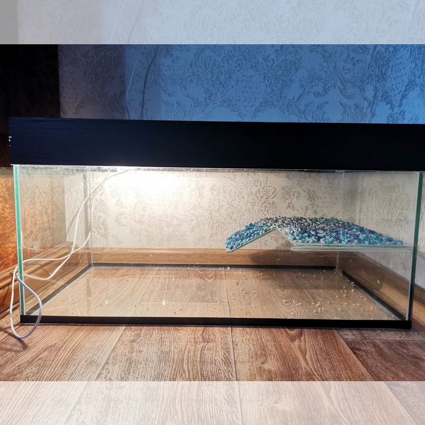 Аквариум для черепах