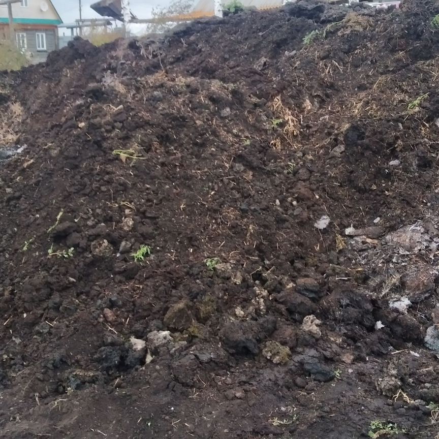 Навоз деревенский