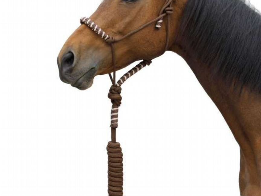 Недоуздок верёвочный