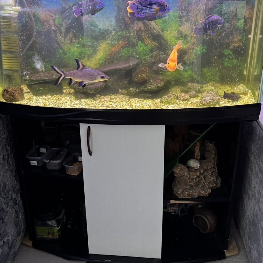 Аквариум для рыб 200 литров