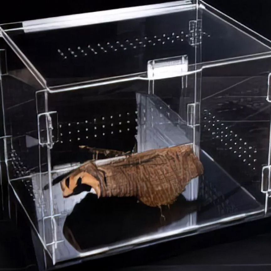 Террариум 13литров для рептилий, улиток, пауков