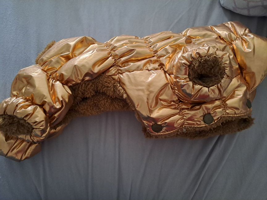 Костюм для собак и кошек