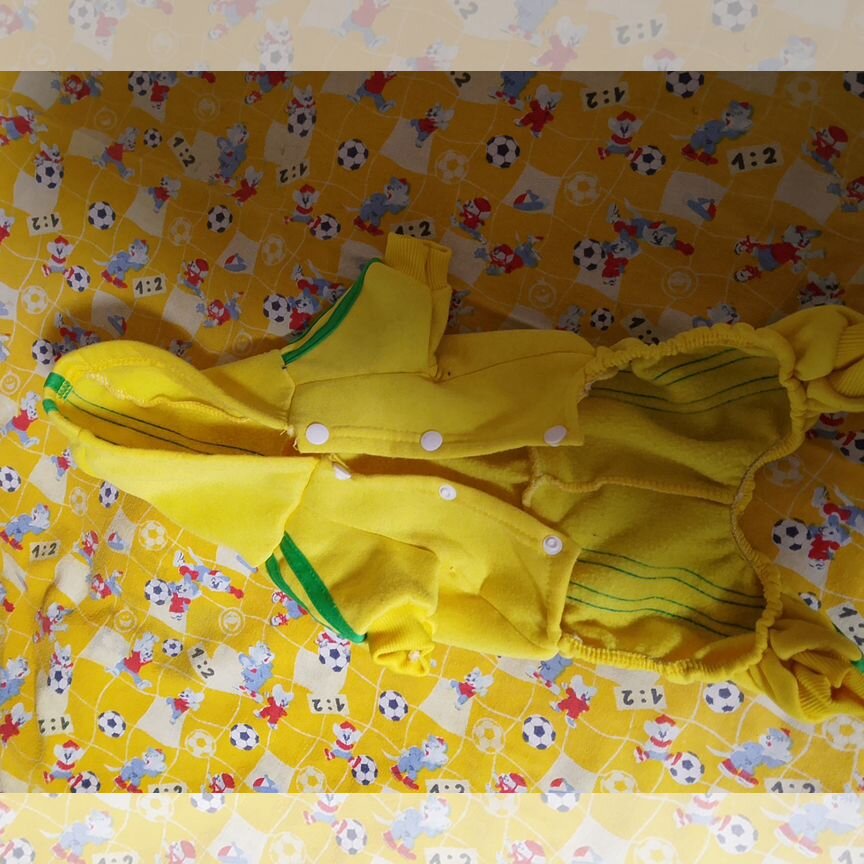 Одежда для маленькой собачки