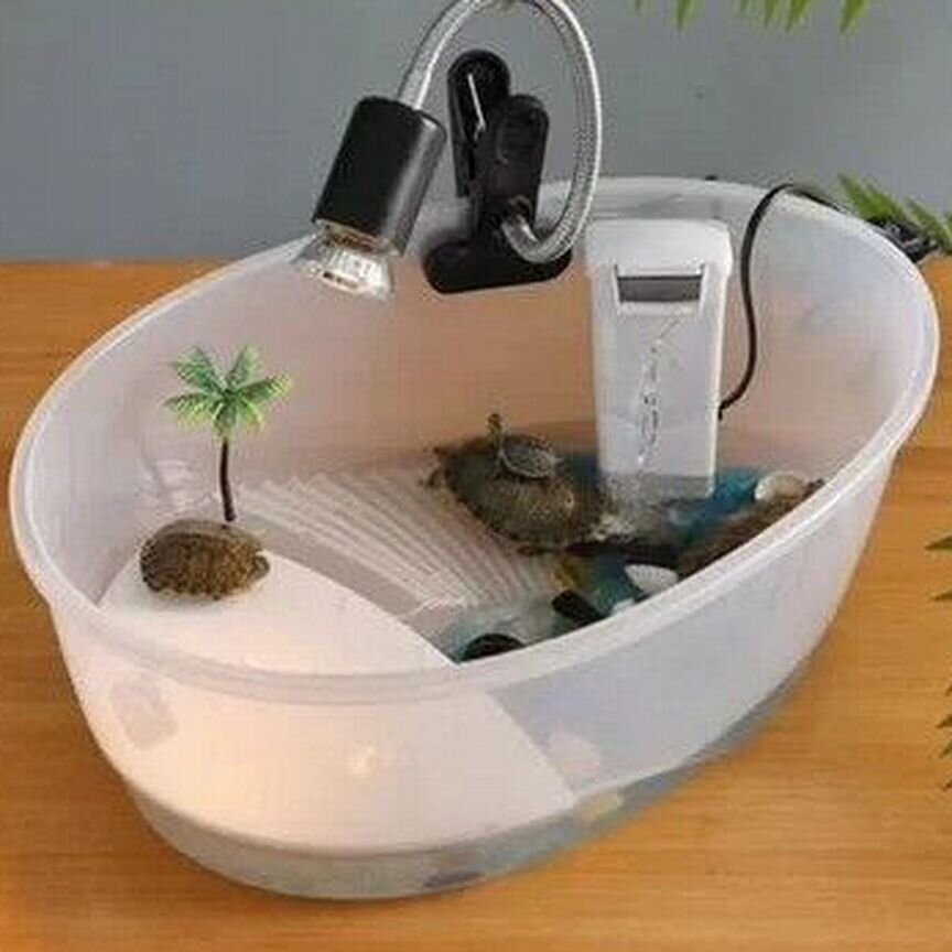 Аквариум для маленьких черепах