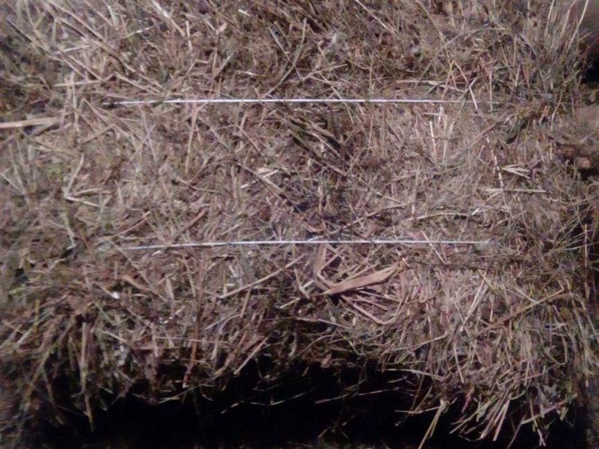 Продается сено