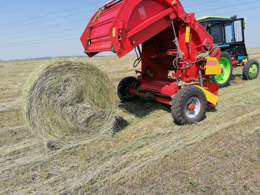 Сено в рулонах