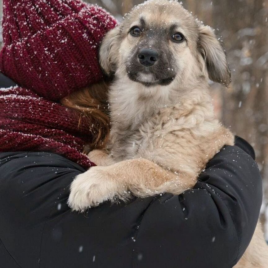 Милана. Забыть о холоде и голоде