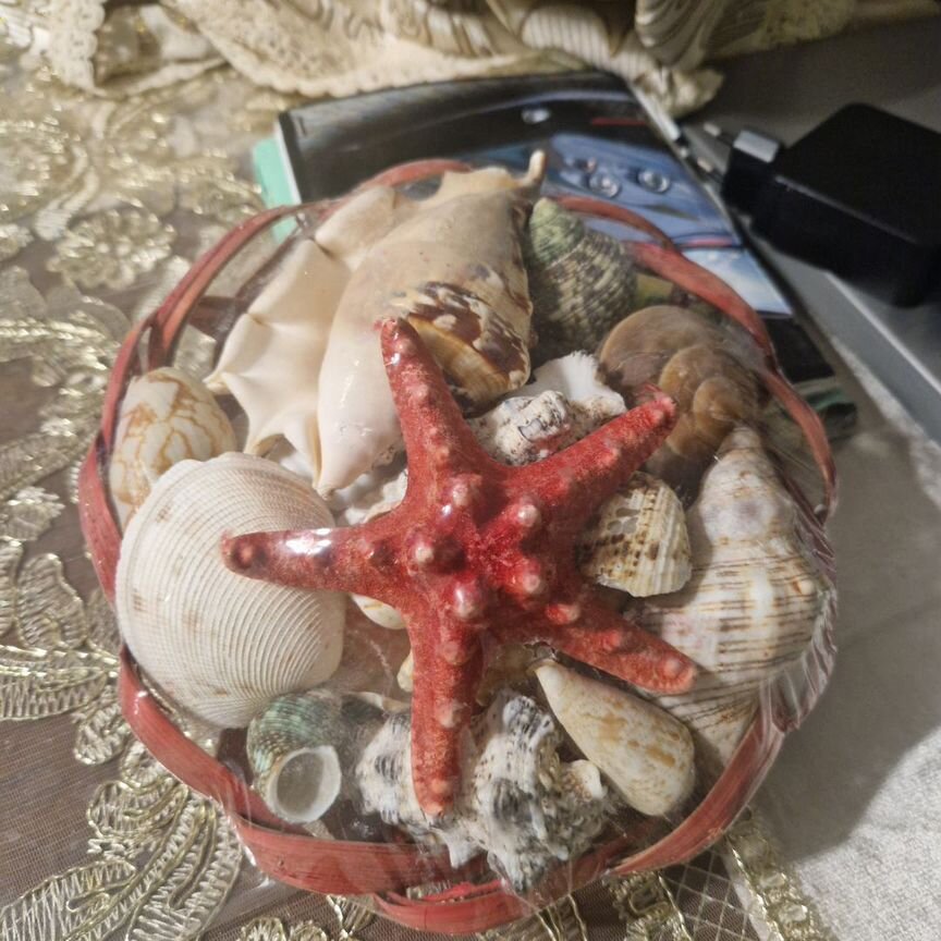 Для Аквариум