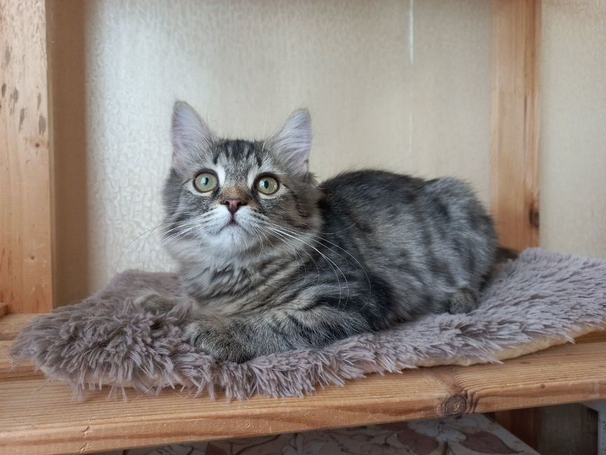 Её глаза – зеркало бесконечной нежности