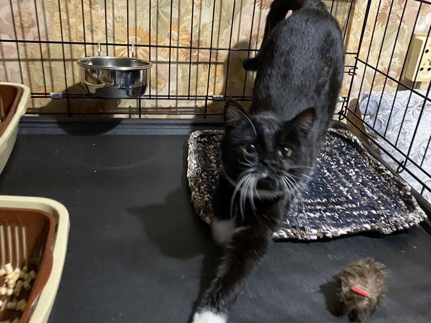 В ответственные руки