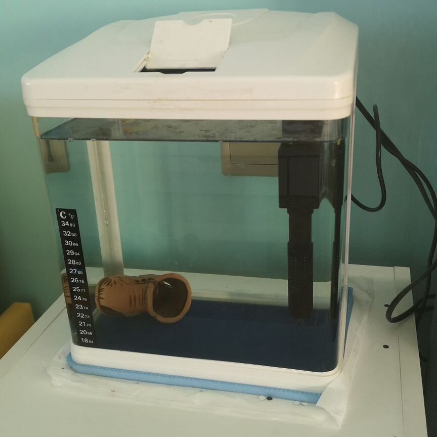 Аквариум пластик 24*16.5*28