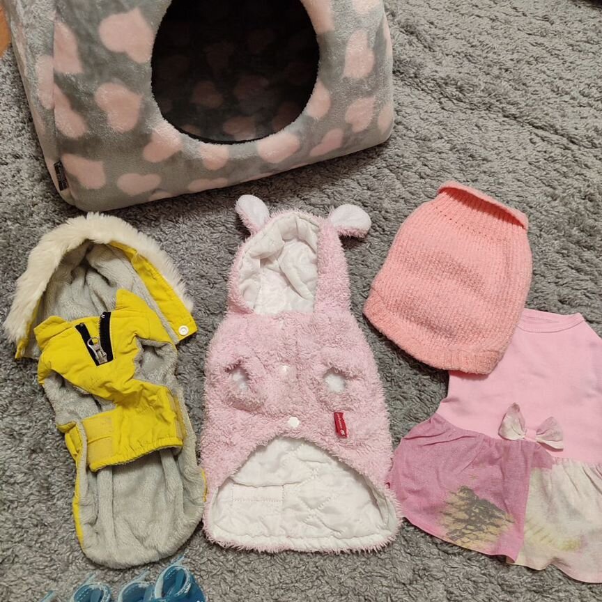 Одежда и лежанка для собачки