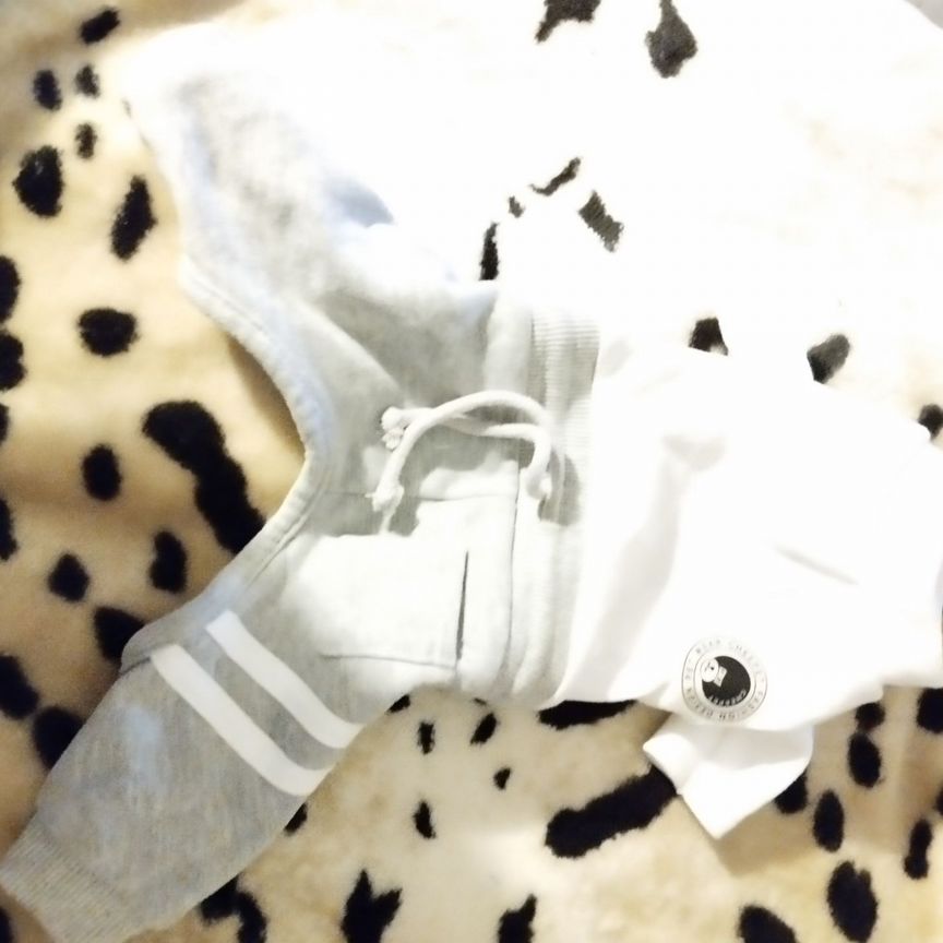 Одежда для собак мелких пород кофточка