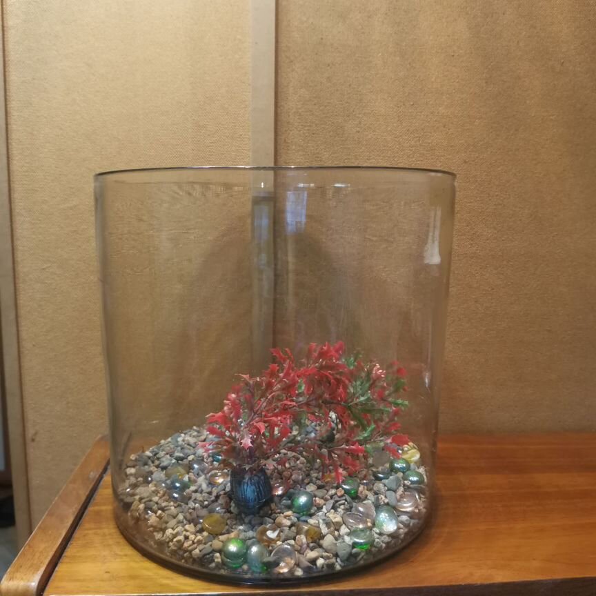 Аквариум / флорариум