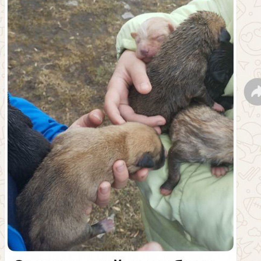 Нужна передержка