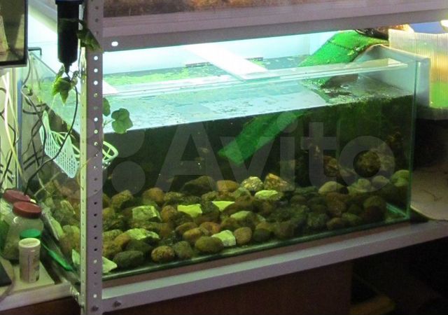 Аквариум/Террариум