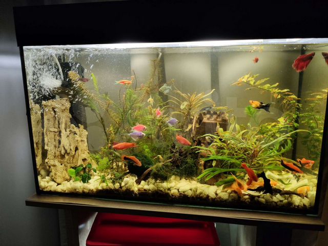 Аквариум 70л + маленький