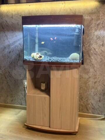 Аквариум 60л. панорамный с тумбой