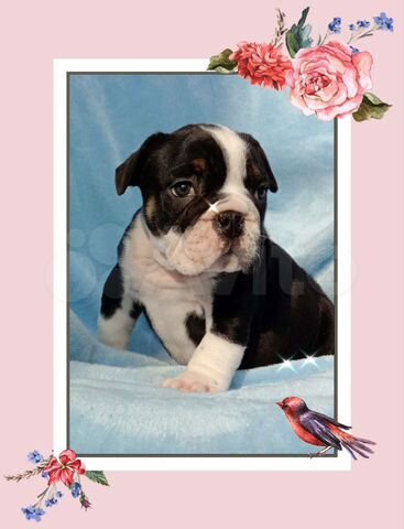 Мальчик с пальчик