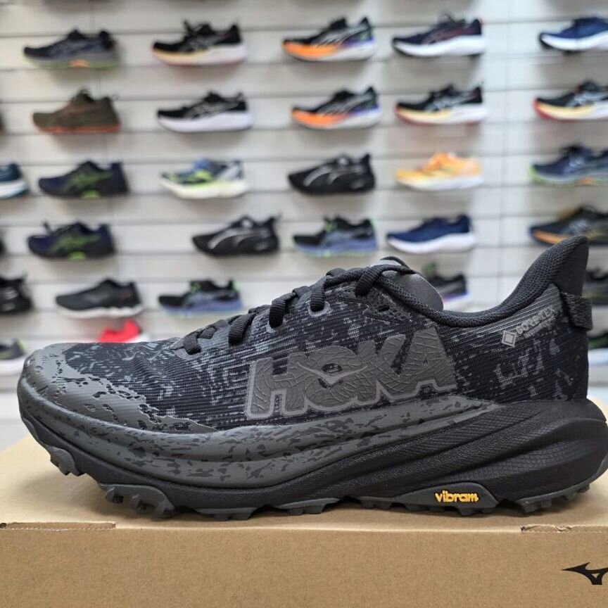 Кроссовки мужские Hoka Speedgoat 6 Gore-Tex